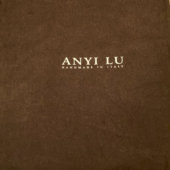 Anyi Lu | Shoes | Anyi Lu Shoe Bag | Poshmark